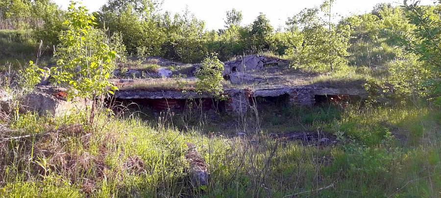 В каком состоянии находится стоянка верхнего палеолита «Сунгирская ...